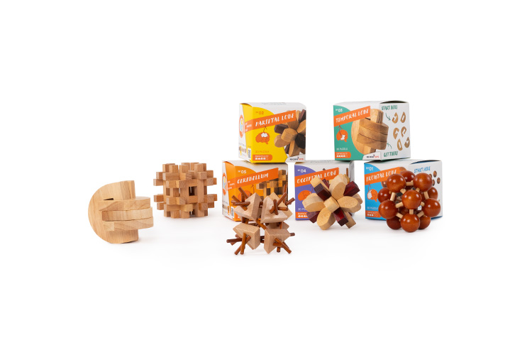 Brain Puzzles - Recent Toys